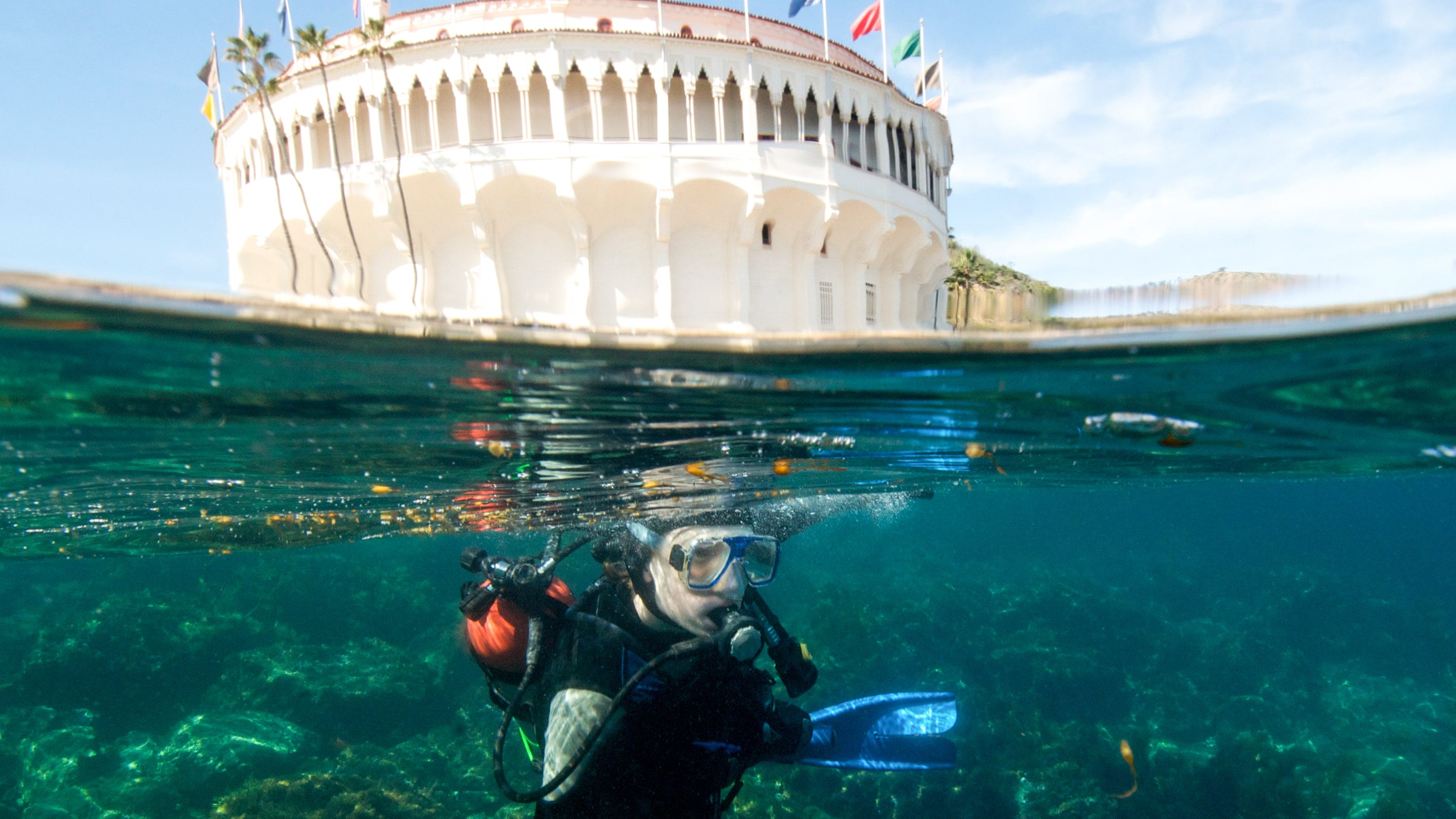 Places to Scuba Dive in California - Dips and Trips