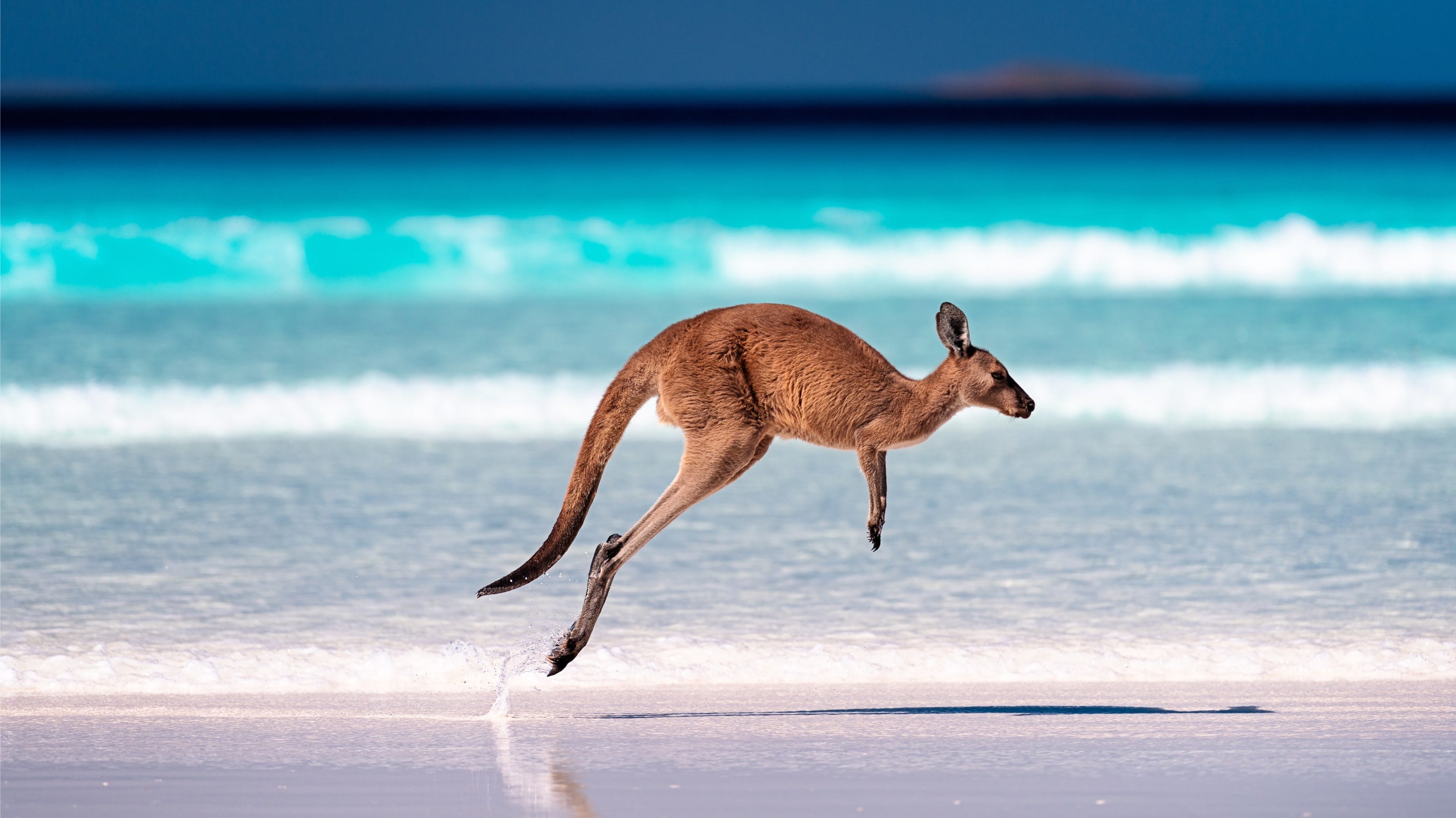 Other countries to visit if you love New Zealand - Dips and Trips