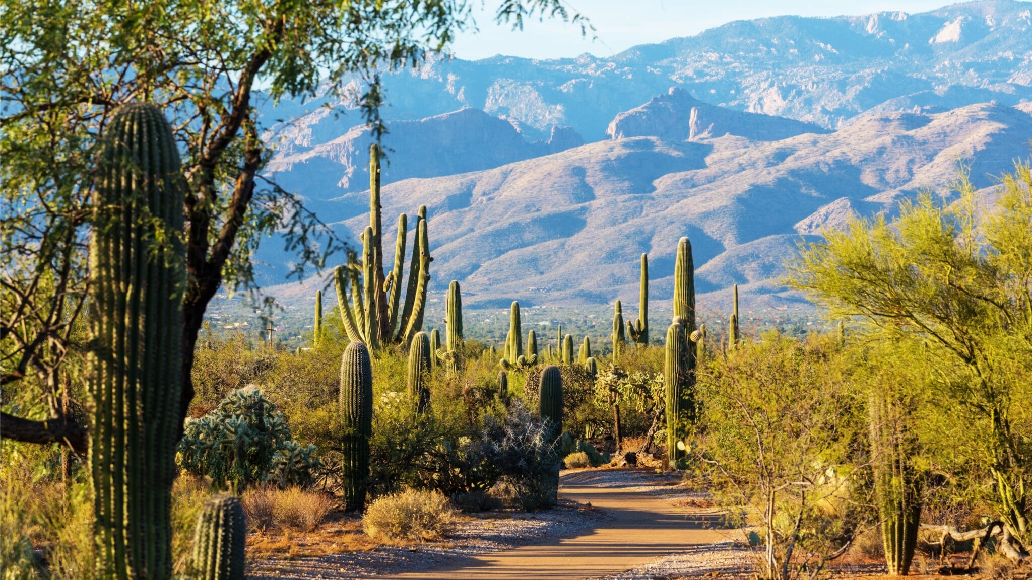 Pro Tips and Tricks for an Unforgettable National Park Experience ...