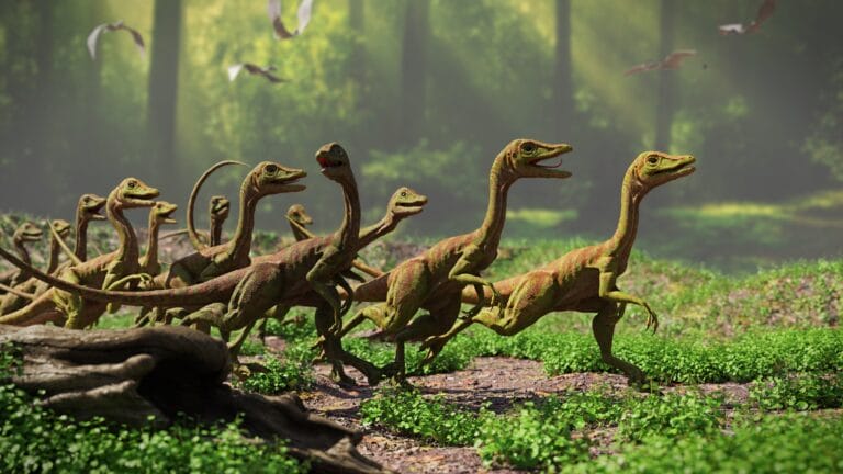 10 Facts You Might Not Know About Velociraptors - Dips and Trips