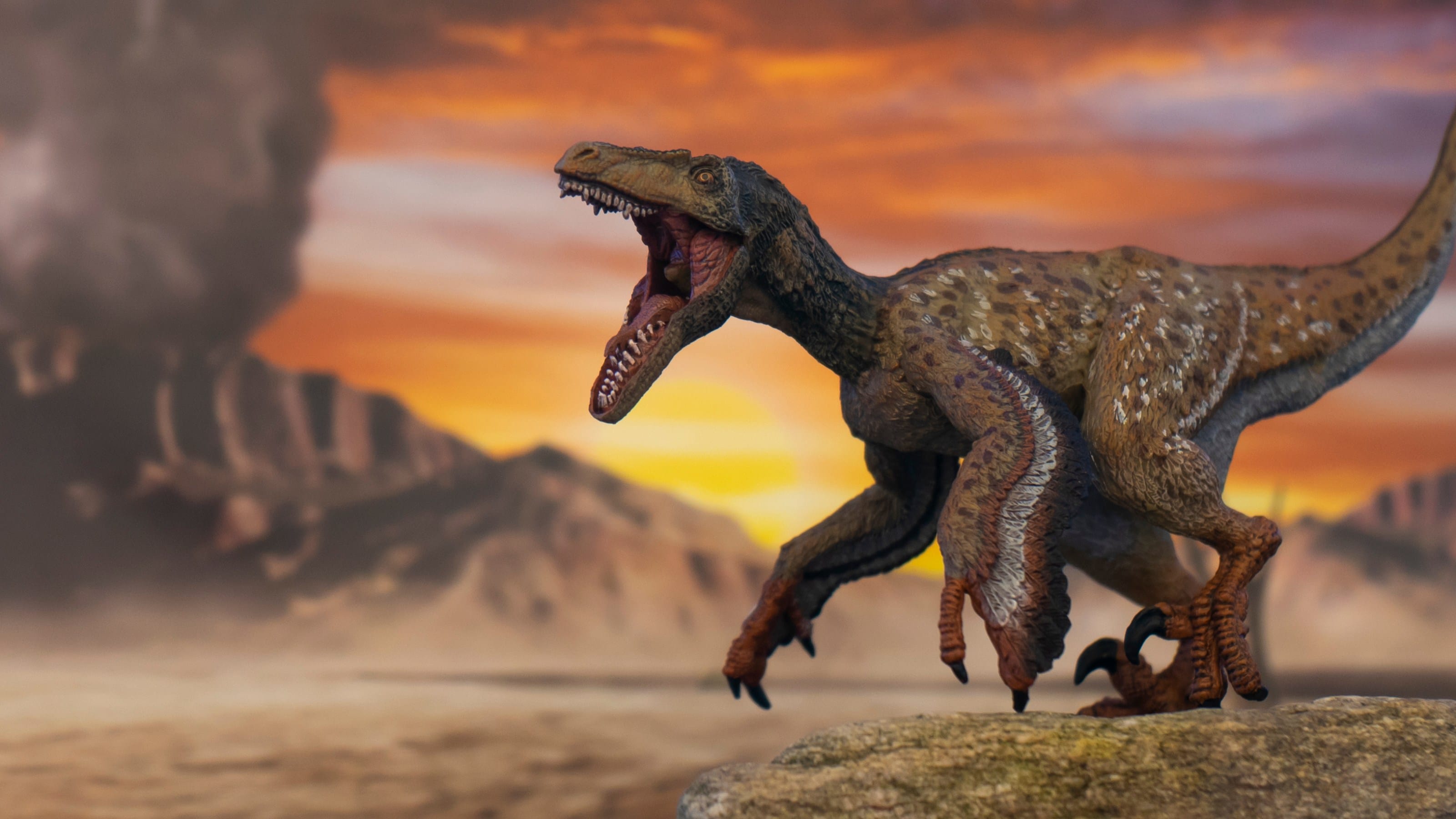 10 Facts You Might Not Know About Velociraptors - Dips and Trips