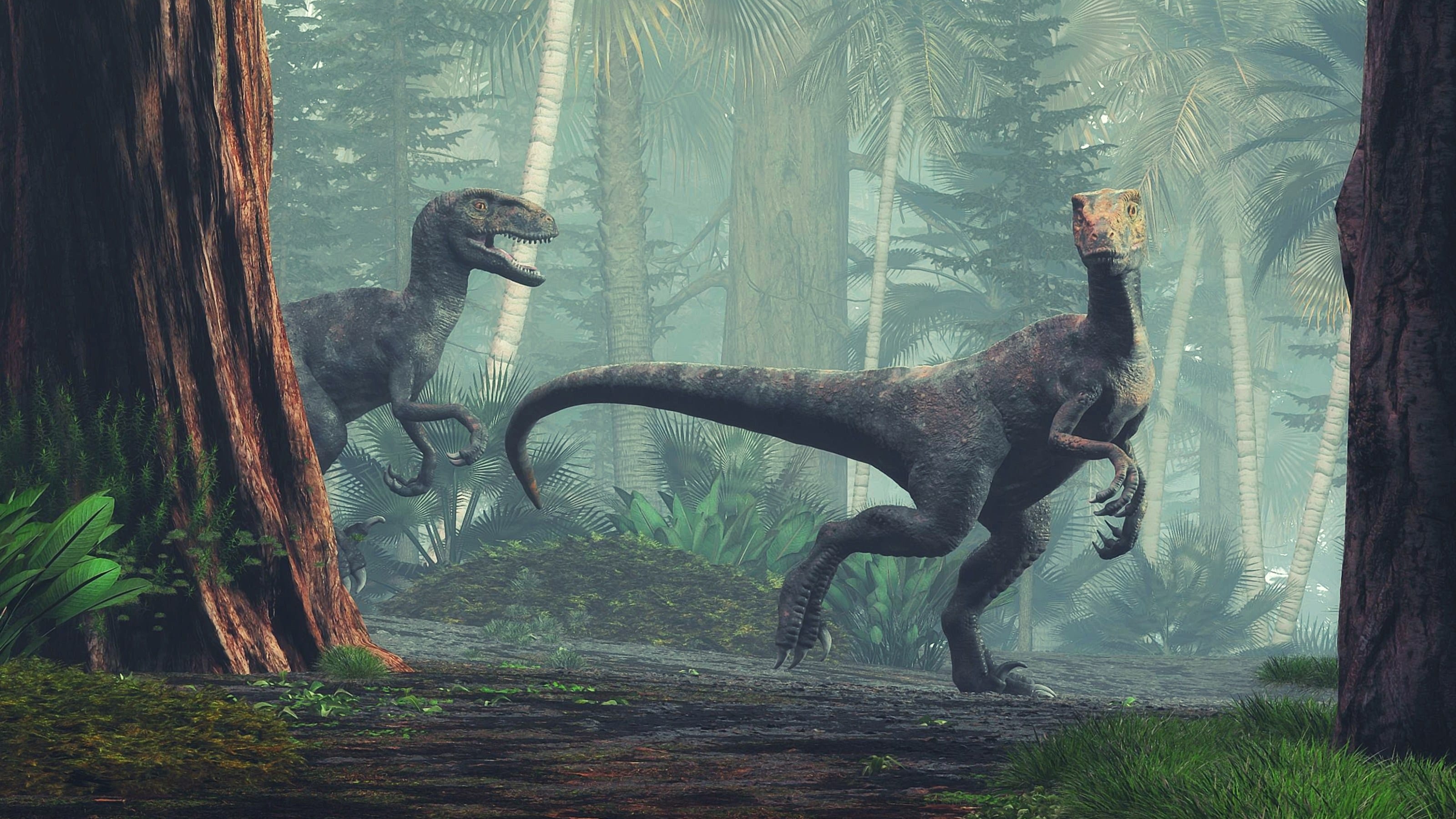 10 Facts You Might Not Know About Velociraptors - Dips and Trips